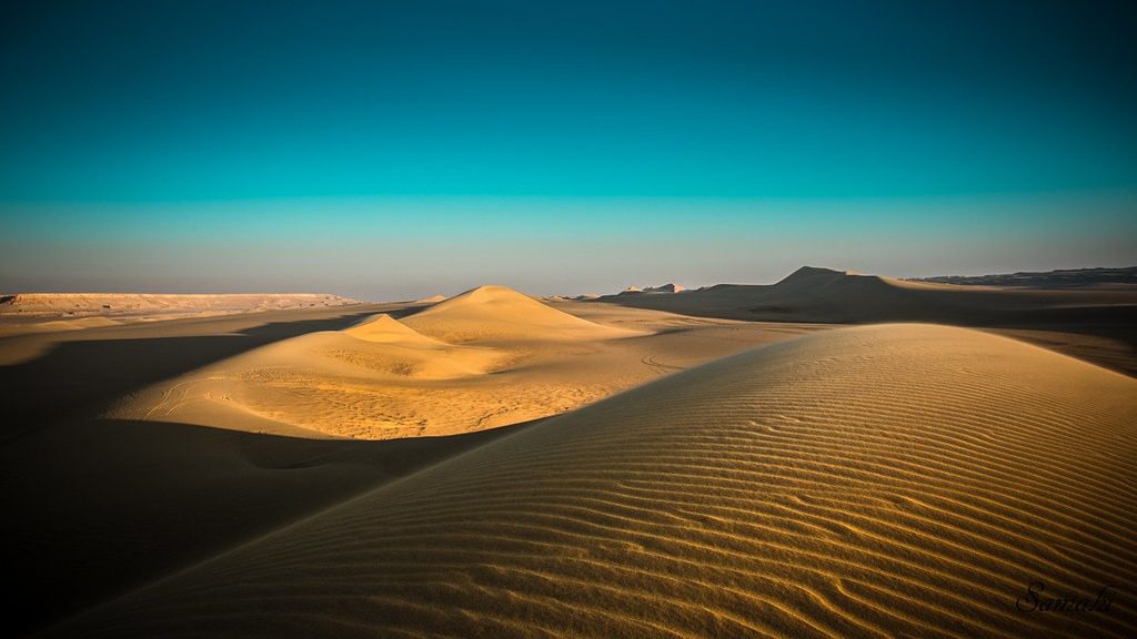 Desert Safari - Real Egypt
